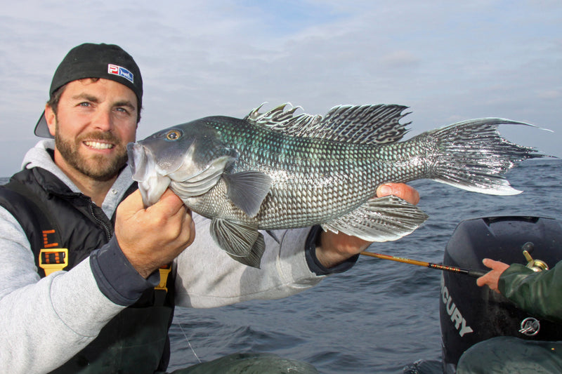 Super Fall Sea Bass – White Water Outfitters